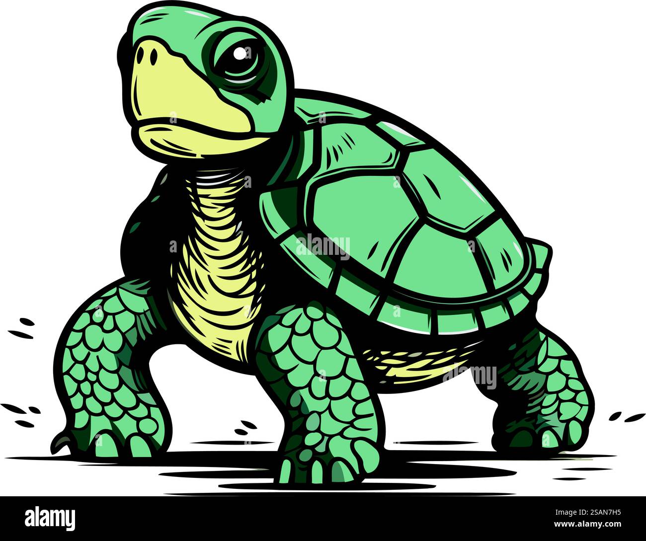 Hand drawn turtle hi-res stock photography and images - Alamy