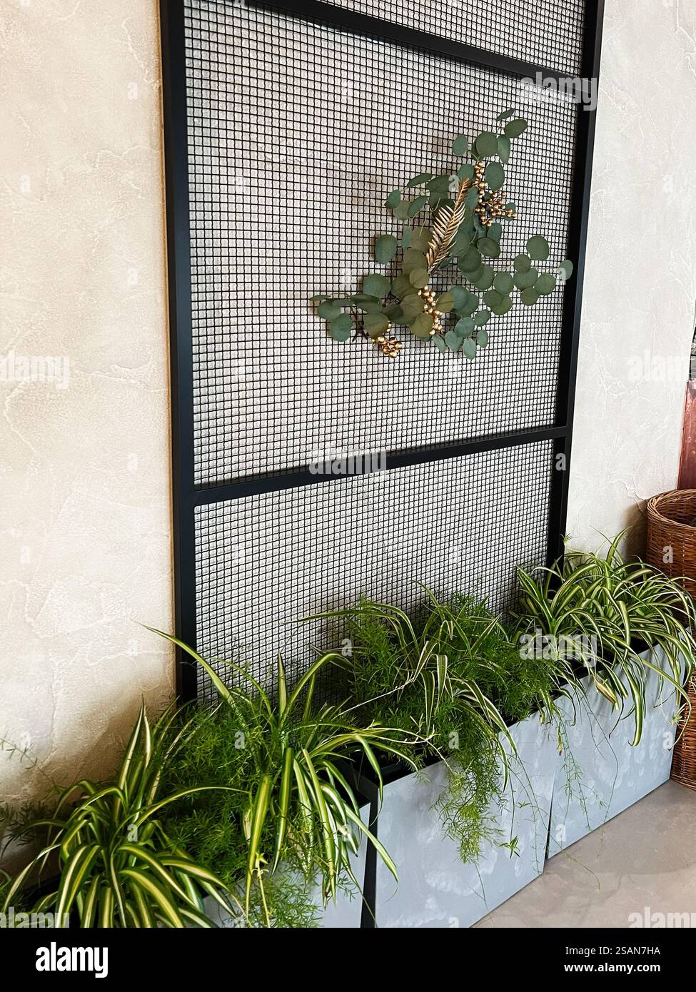 Contemporary interior featuring a stylish black mesh grid with ...