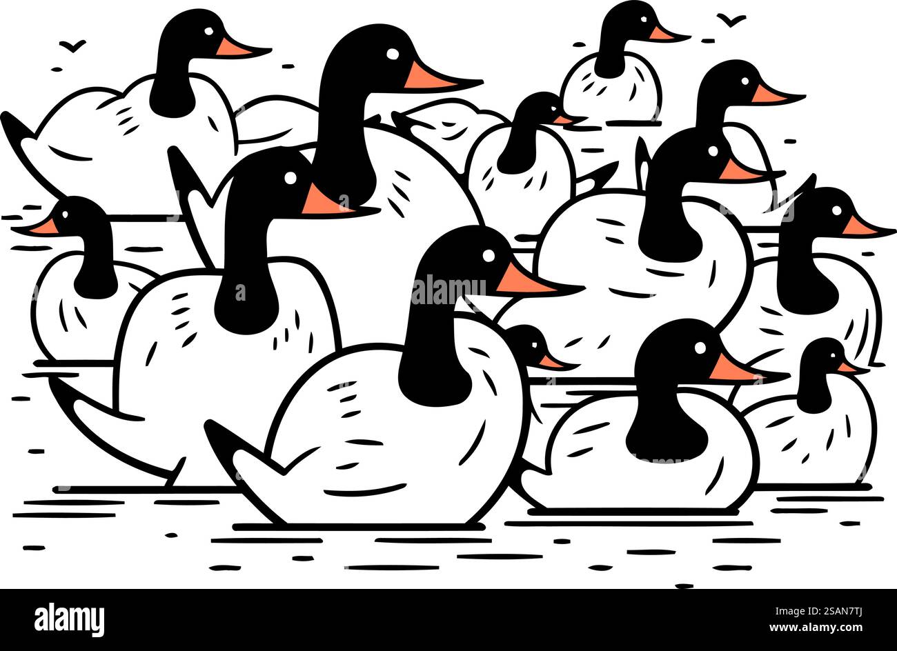Vector illustration of a flock of ducks on a white background. Vector ...