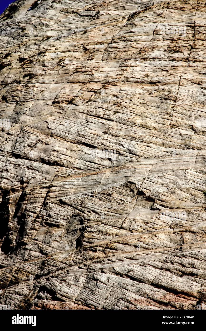 A rock with a lot of cracks and lines on it. The rock is gray and brown ...