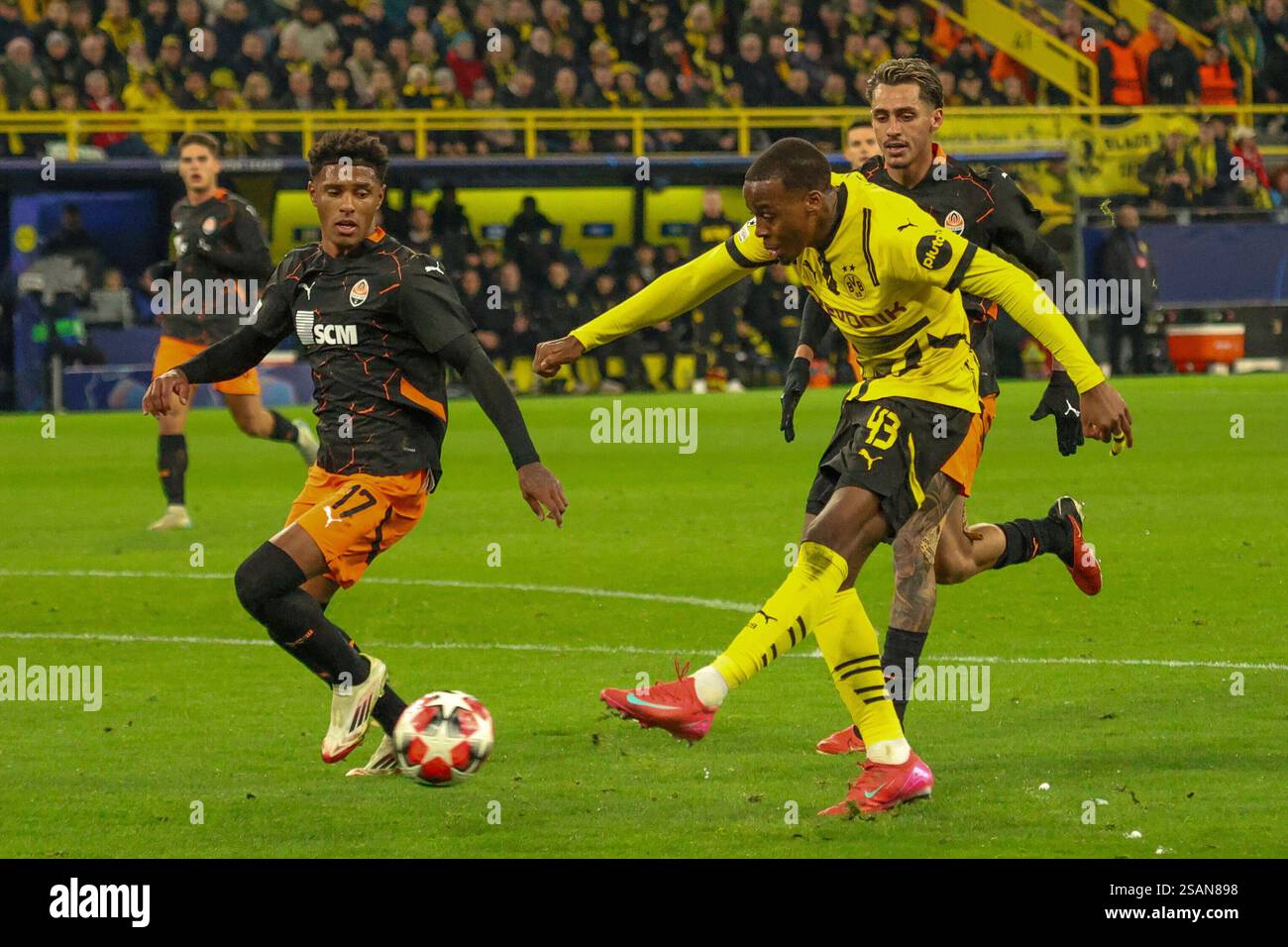 Dortmund, Deutschland. 29th Jan, 2025. Dortmund, Deutschland 29. Januar 2025: Champions League ...