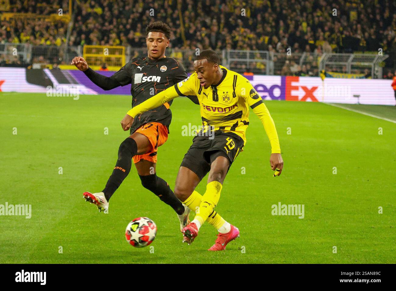 Dortmund, Deutschland. 29th Jan, 2025. Dortmund, Deutschland 29. Januar 2025: Champions League ...