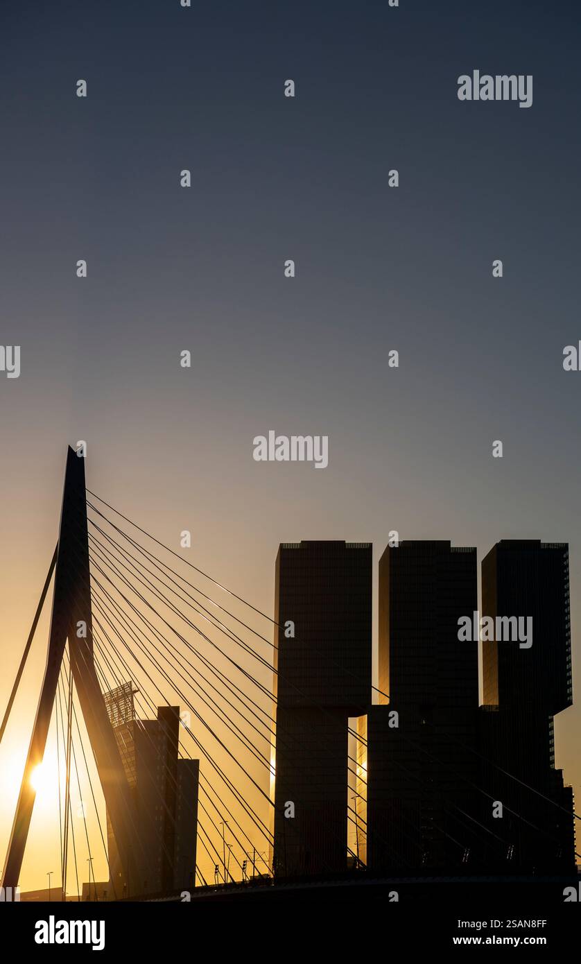 Sunrise silhouette of the Erasmus Bridge in Rotterdam, the Netherlands ...