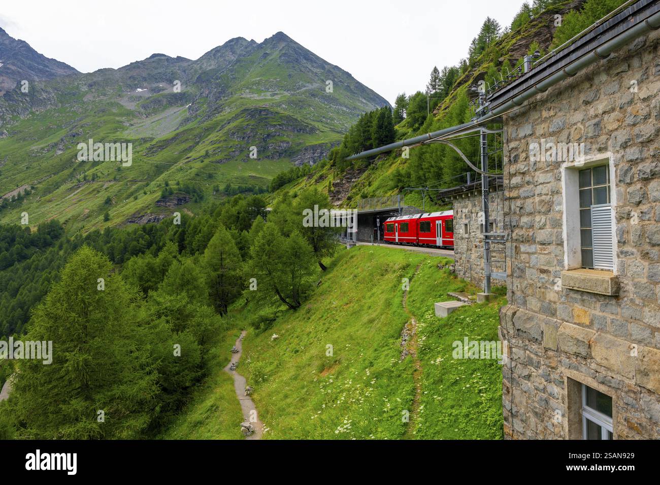 Beautiful Passenger Train Bernina Express on Mountain Alp Gruem in ...