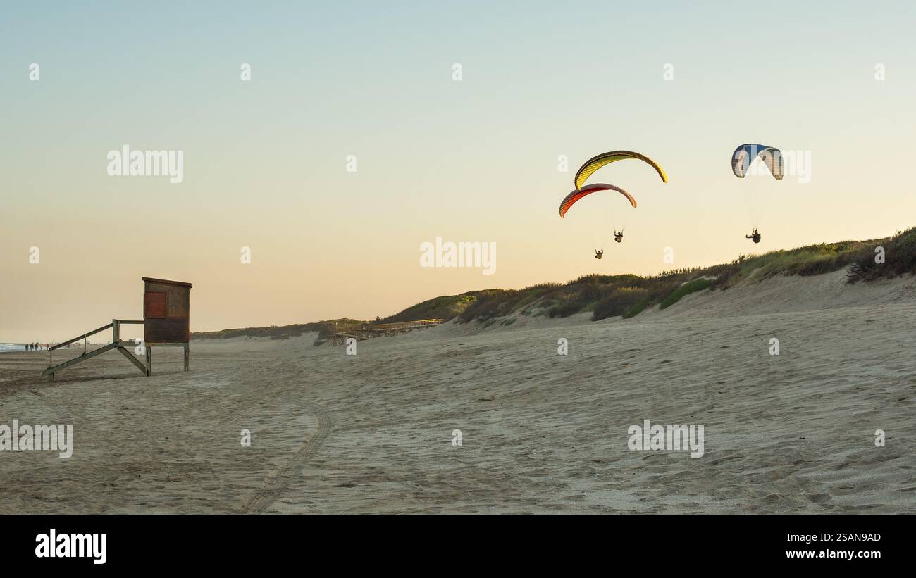 Three adventurous paragliders soaring gracefully above the sand dunes ...