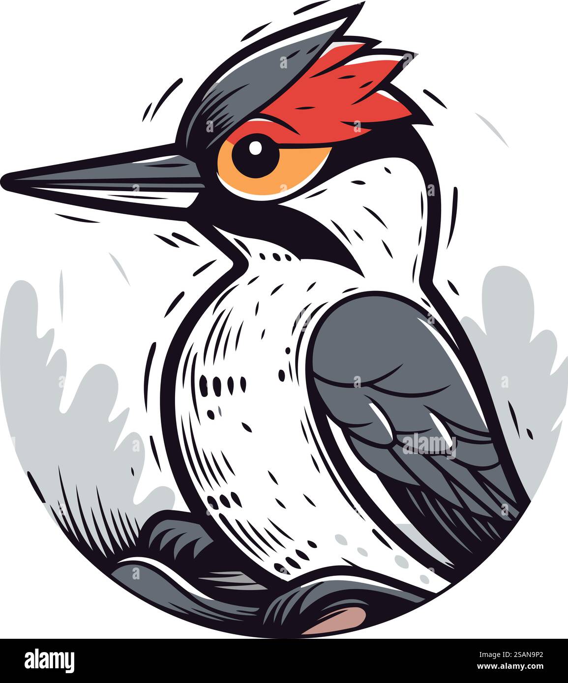 Black backed Woodpecker woodpecker. vector illustration Stock Vector ...