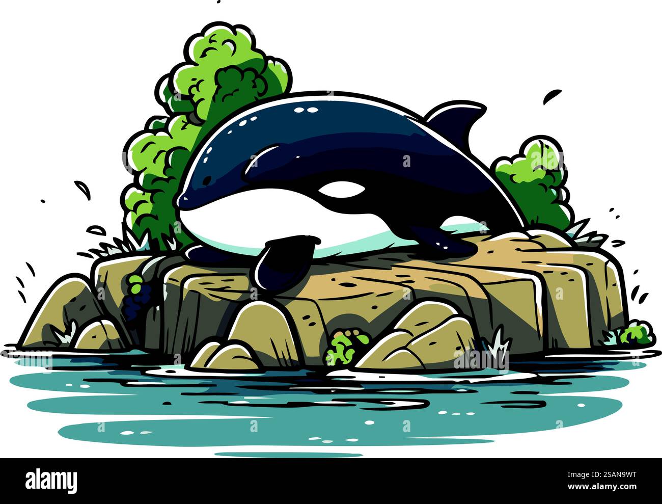 Cute cartoon killer whale on the rock. Vector hand drawn illustration ...