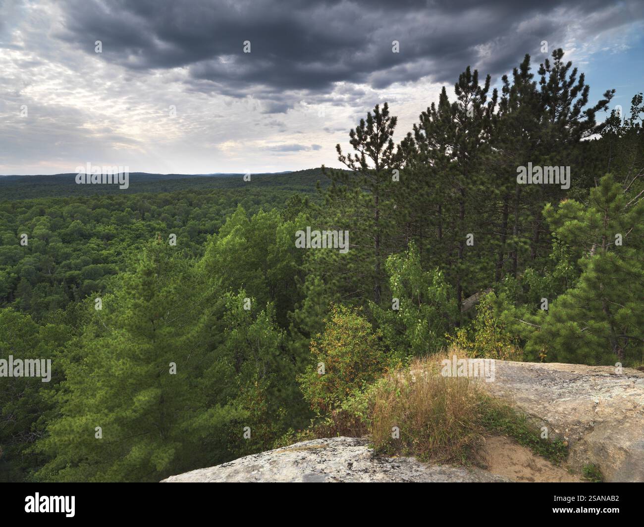 Algonquin Provincial Park summertime nature scenery. Ontario, Canada ...