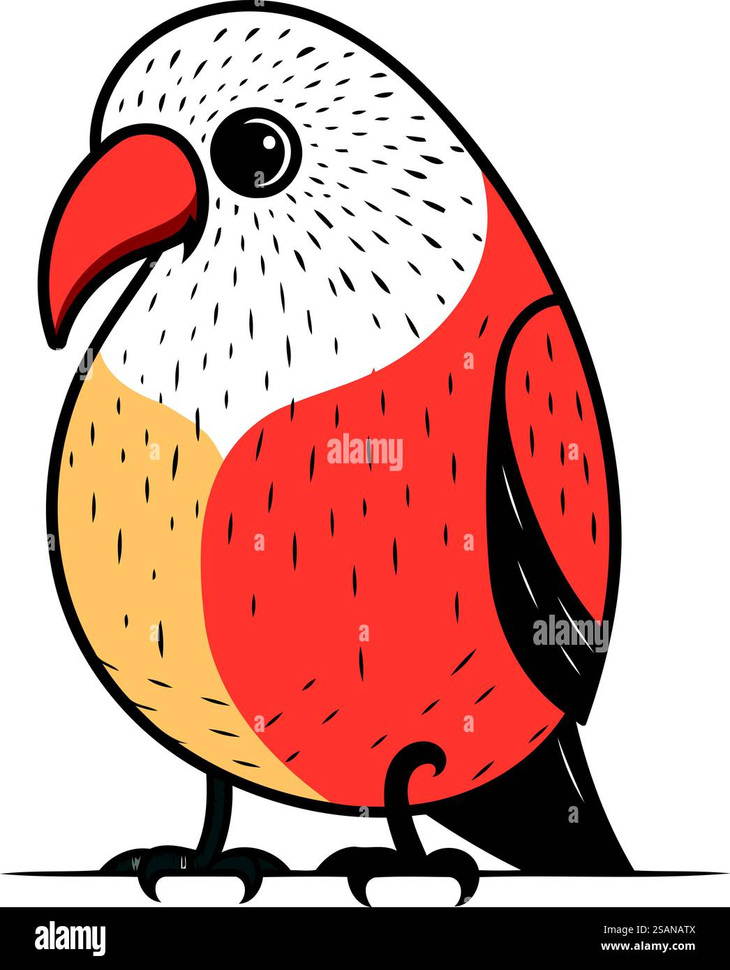 Vector illustration of a red parrot isolated on a white background ...