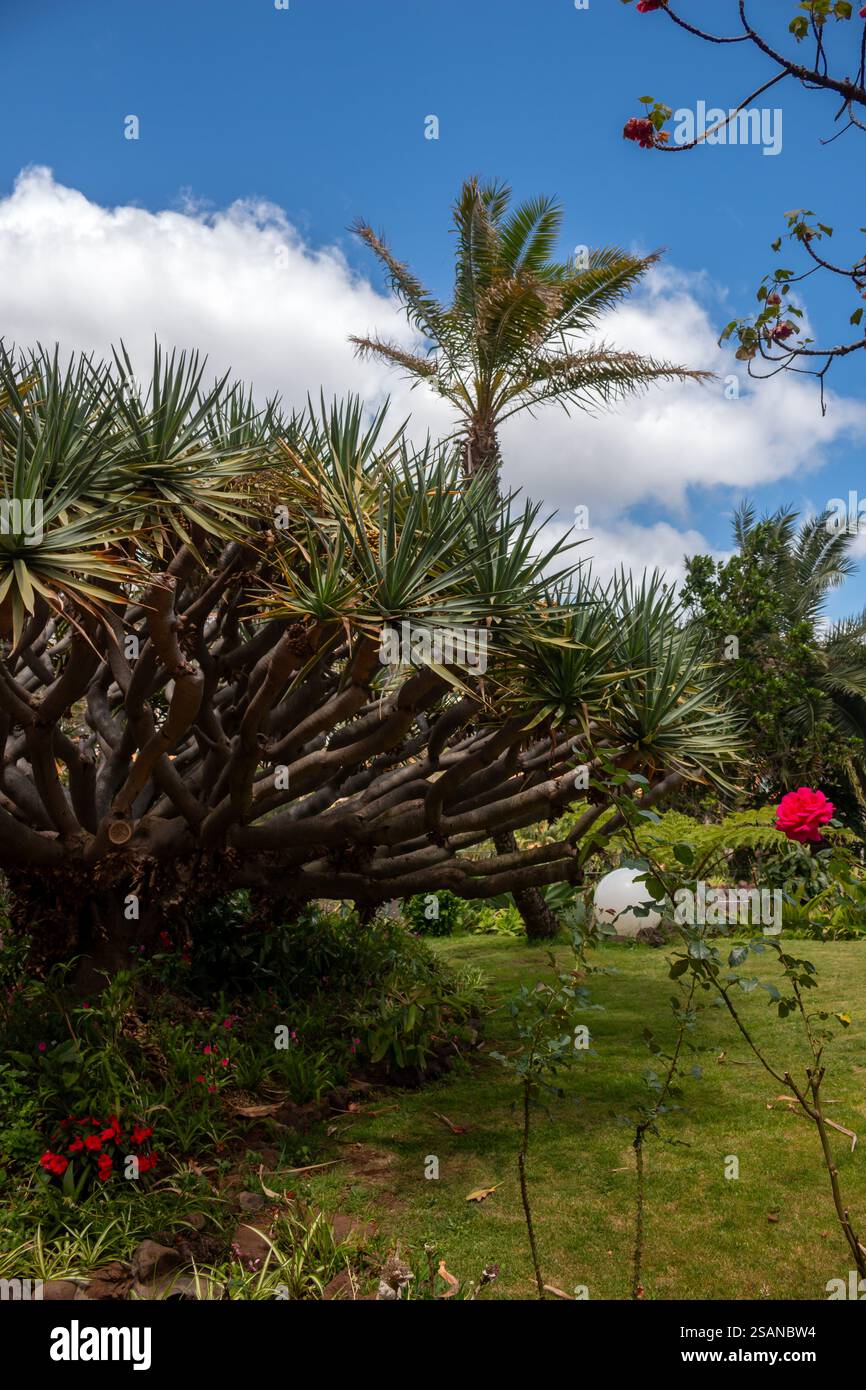 Part of a botanical garden with fresh green grass and various greenery ...
