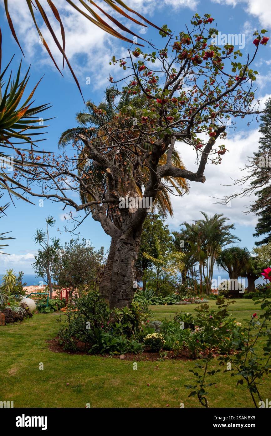 Part of a botanical garden with fresh green grass and various greenery ...