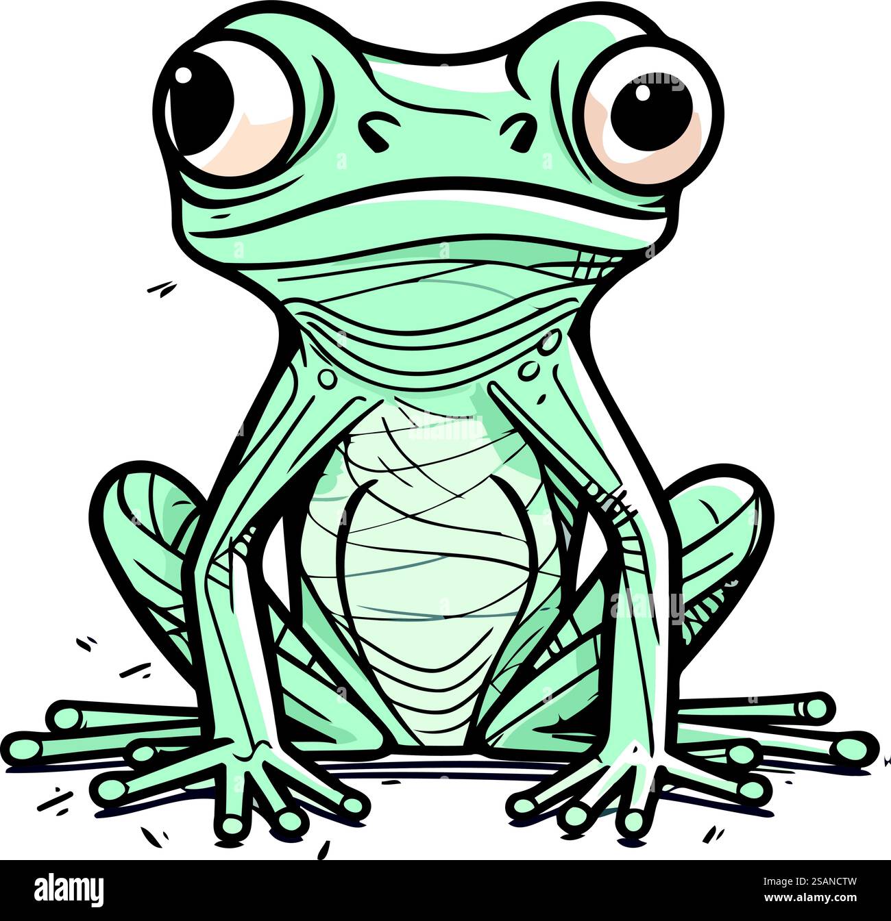 Frog. Vector illustration. Isolated on a white background Stock Vector ...
