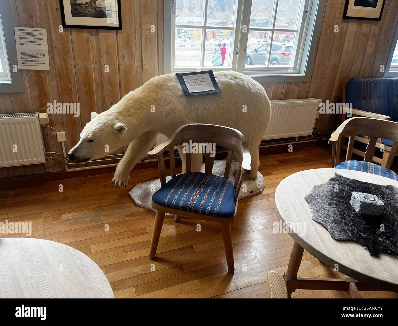 Longyearbyen Svalbard, Norway in the Summer. Nature, Landscapes and the ...