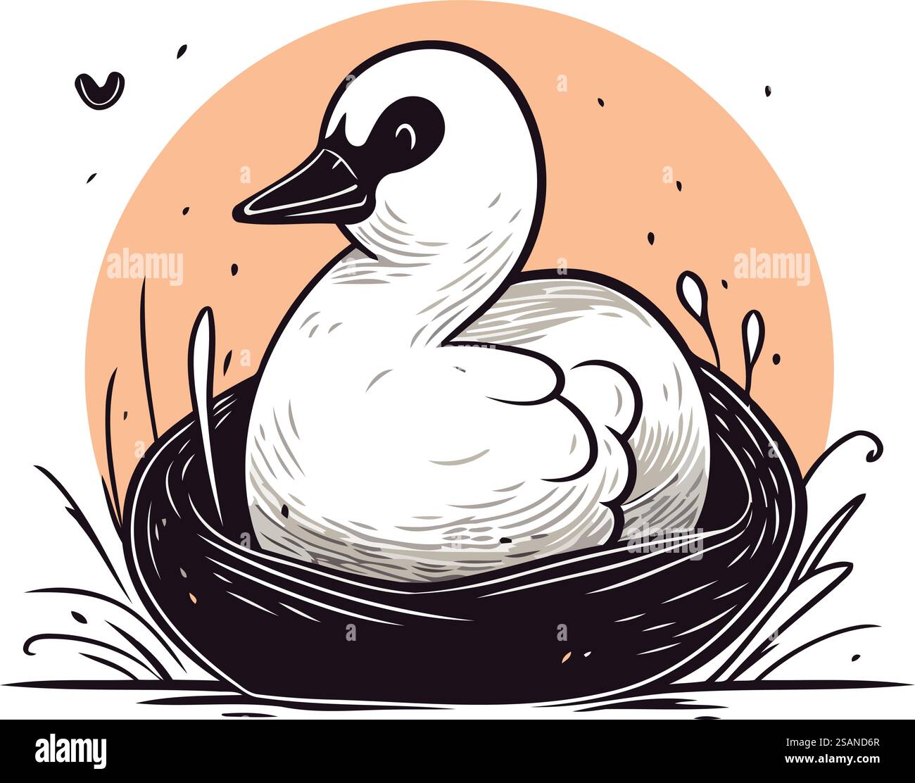 Vector hand drawn illustration of a baby swan in a nest Stock Vector ...