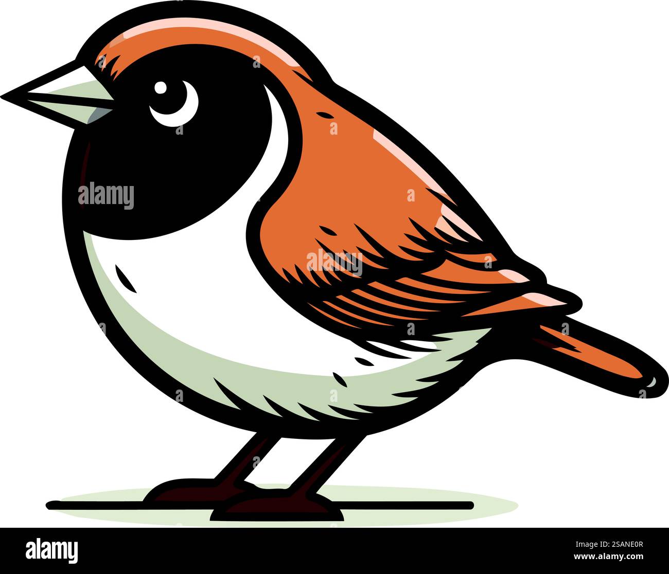 Funny sparrow isolated on a white background. Vector illustration Stock ...