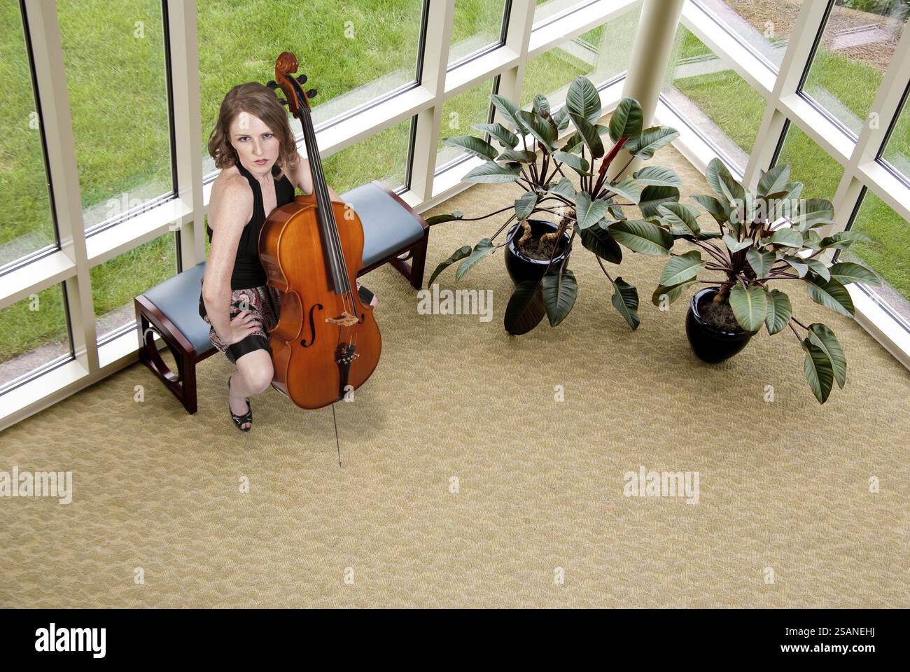 Single stringed musical instrument hi-res stock photography and images ...