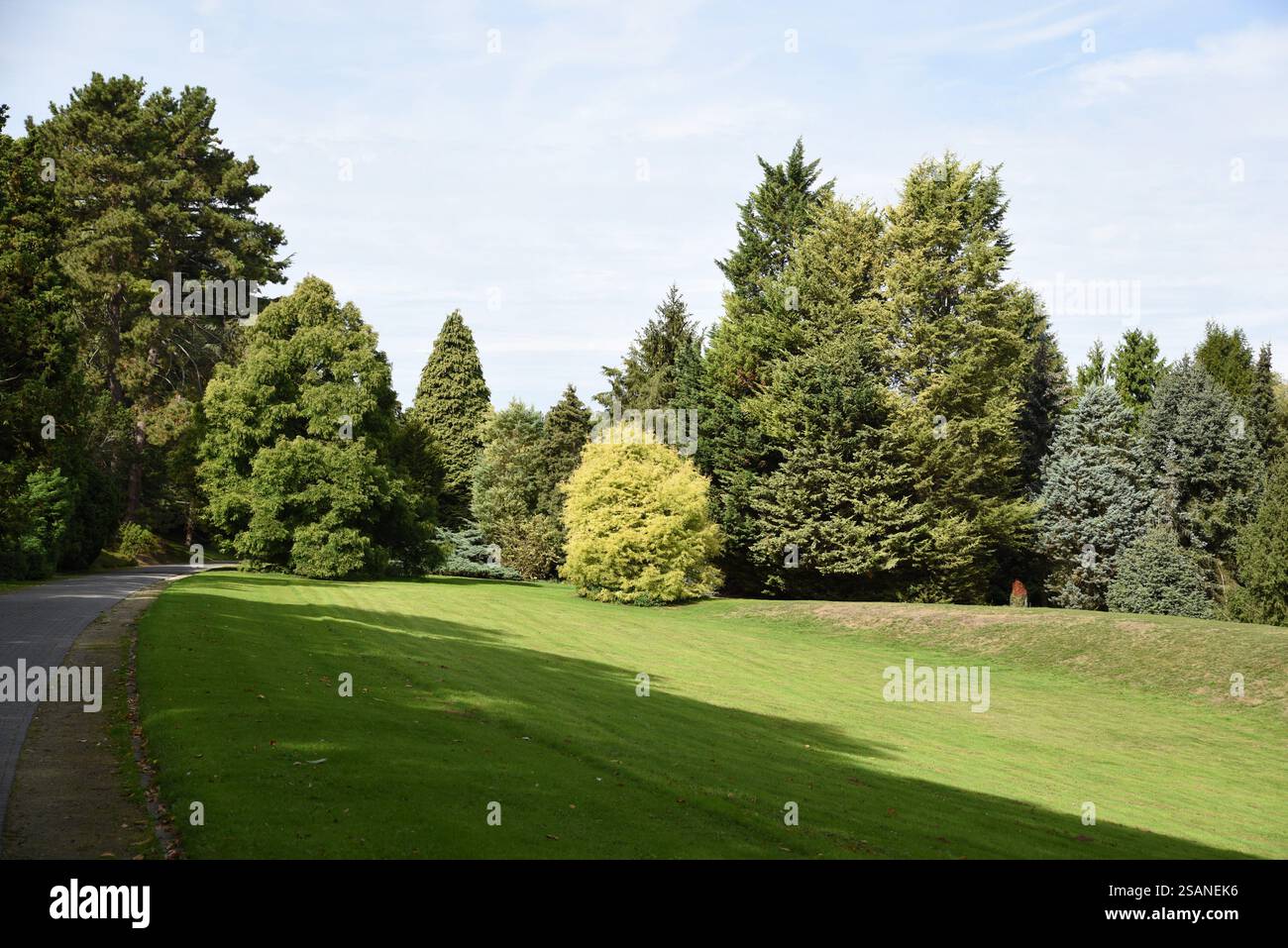 Green meadows and arboretum at the national botanic garden of Meise ...