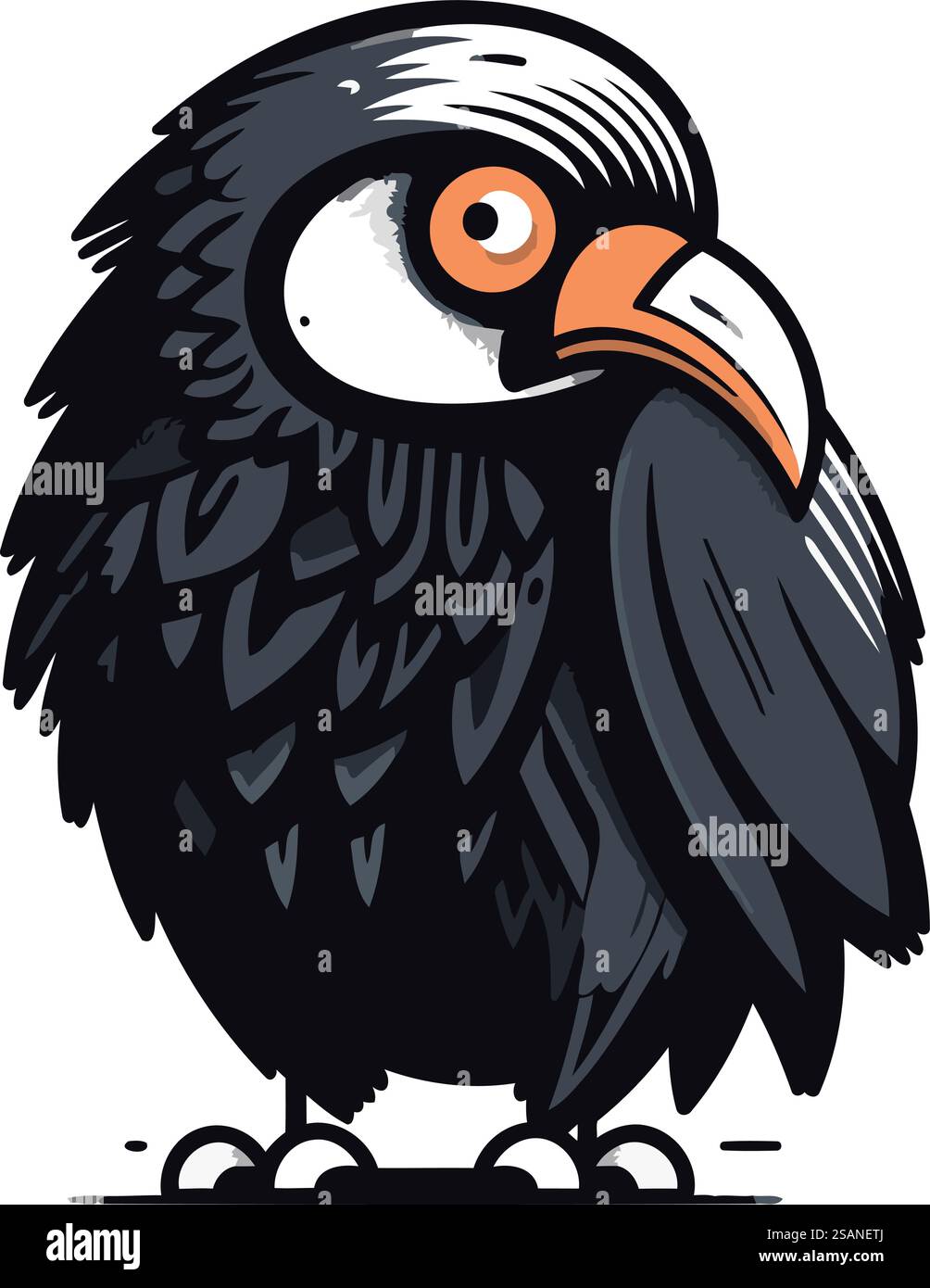 Vector illustration of a raven. Isolated on a white background Stock ...