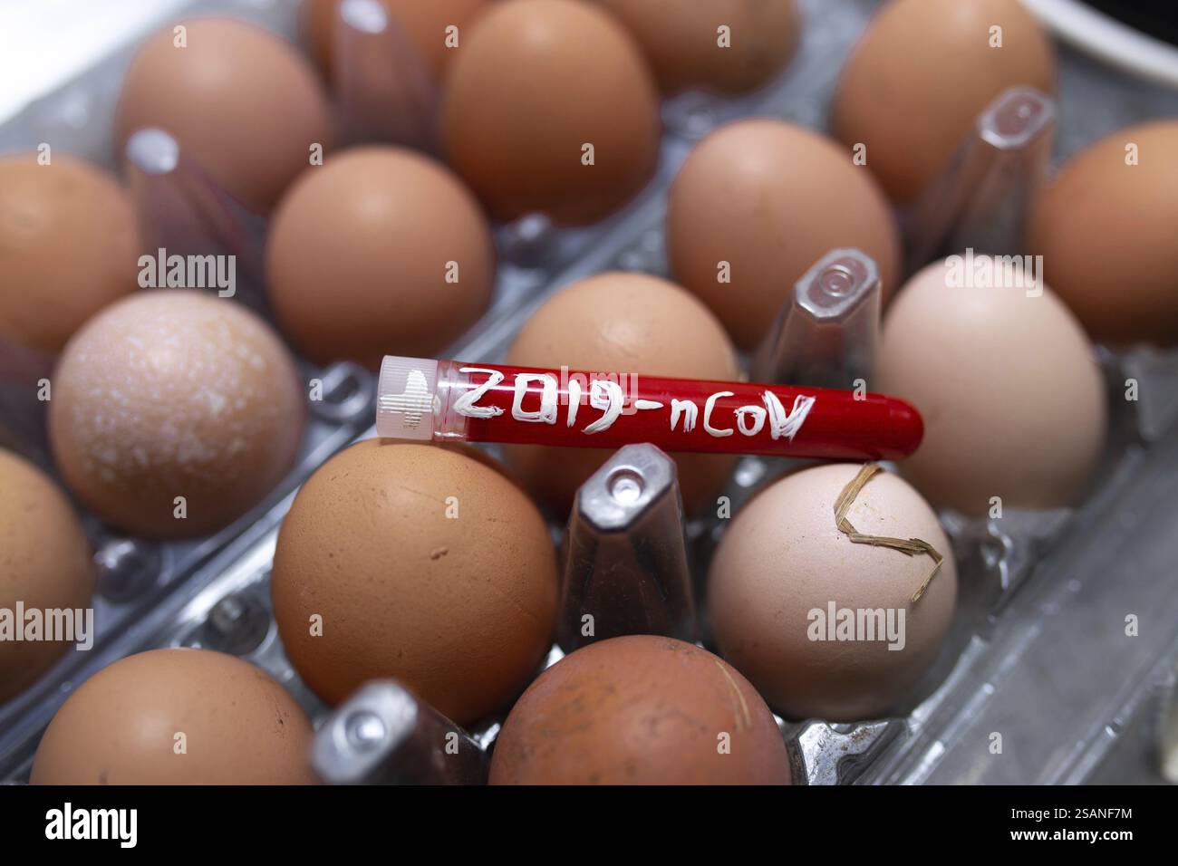 Egg carton with a test tube labeled '2019-nCoV' resting on eggs Stock ...