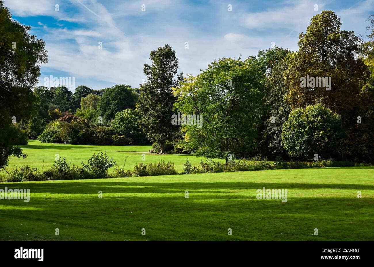 Green meadows and arboretum at the national botanic garden of Meise ...