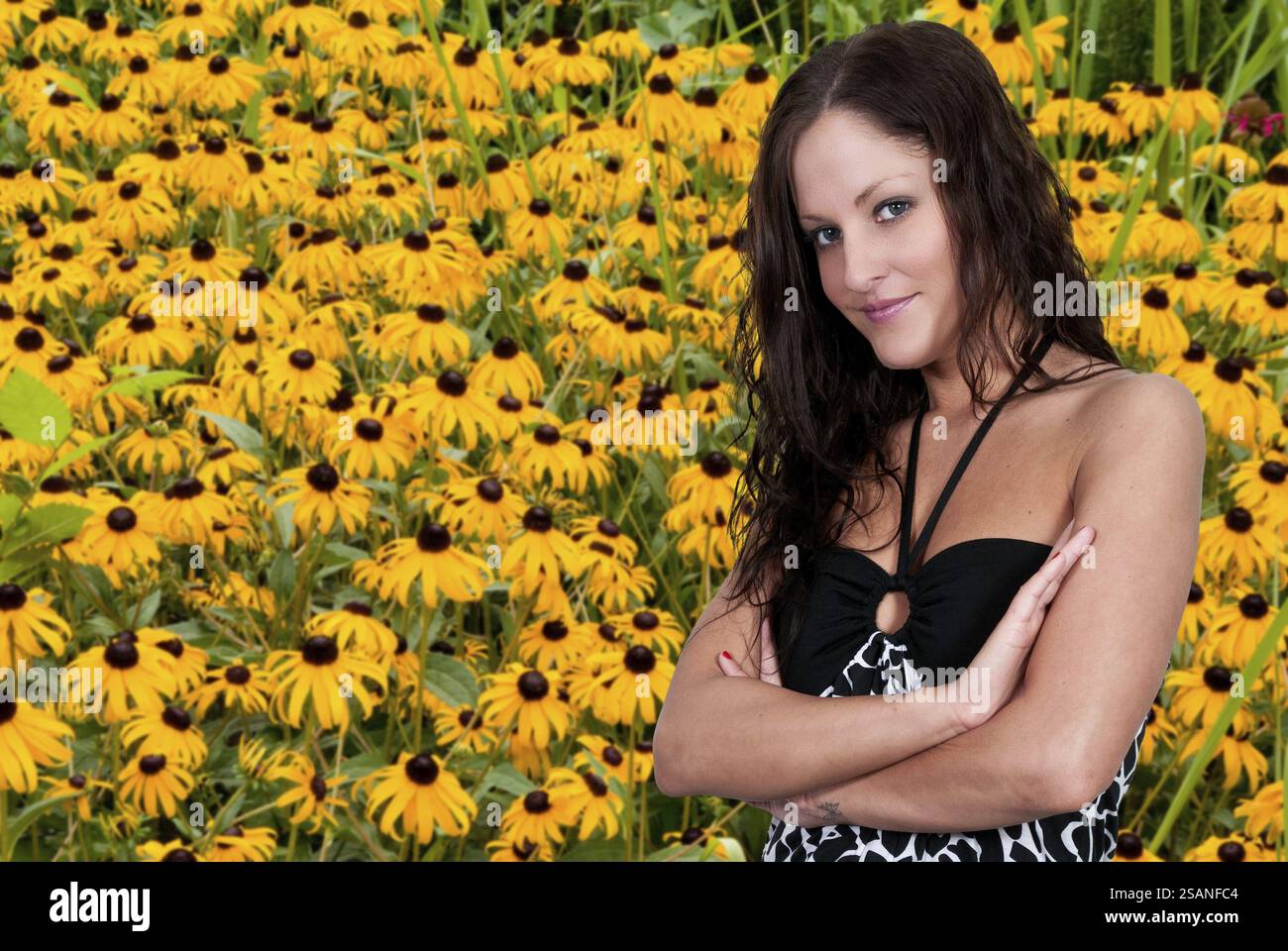 Woman with the common wild flower known as a Blackeyed Susan Stock ...