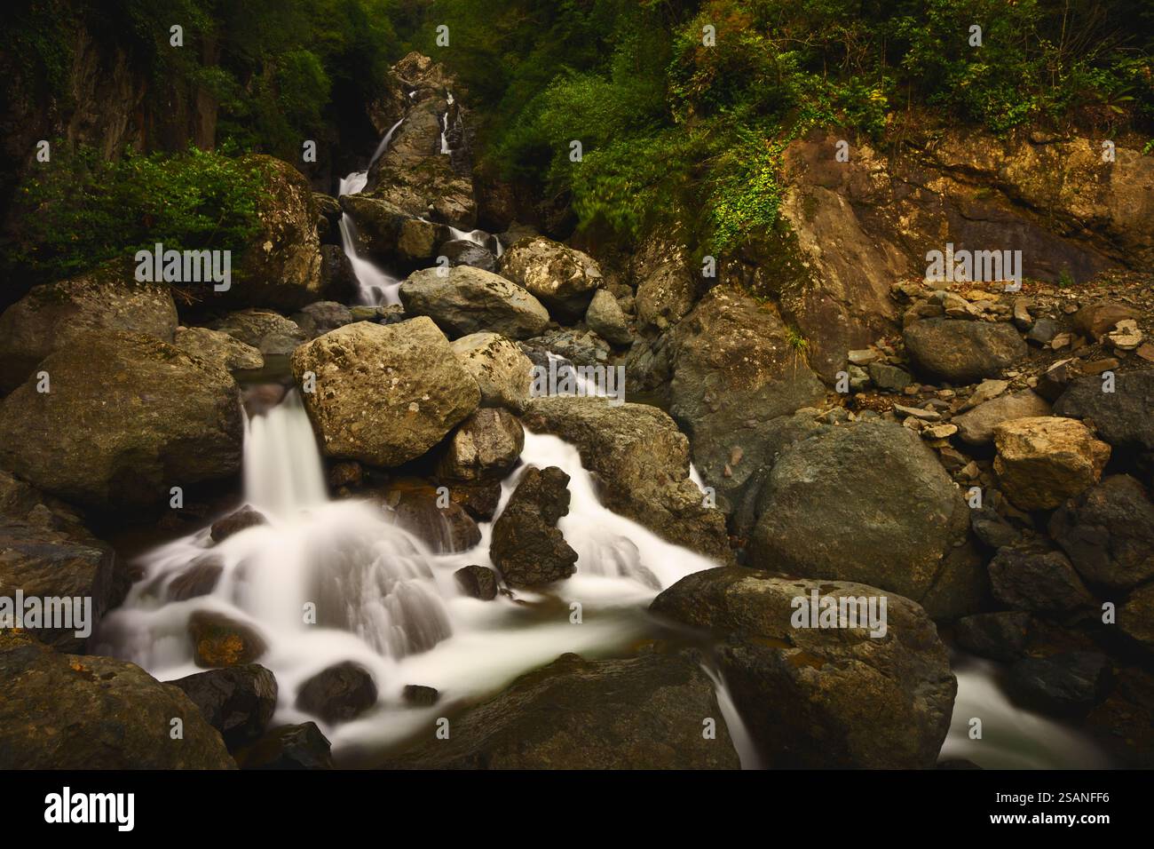 Landscape stream surrounded lush plants hi-res stock photography and ...