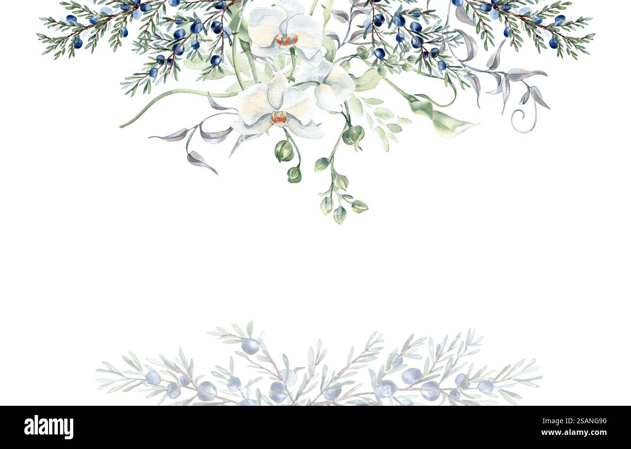 Watercolor border with white orchids and juniper branches in soft ...