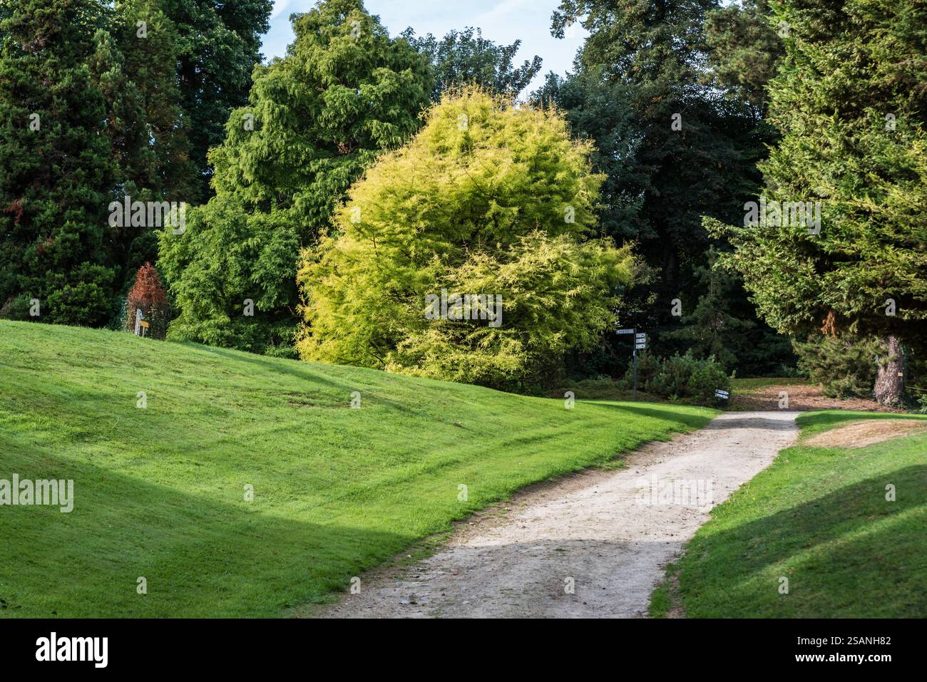 Cultivated botanical garden , grass lawn and trees, Meise National ...