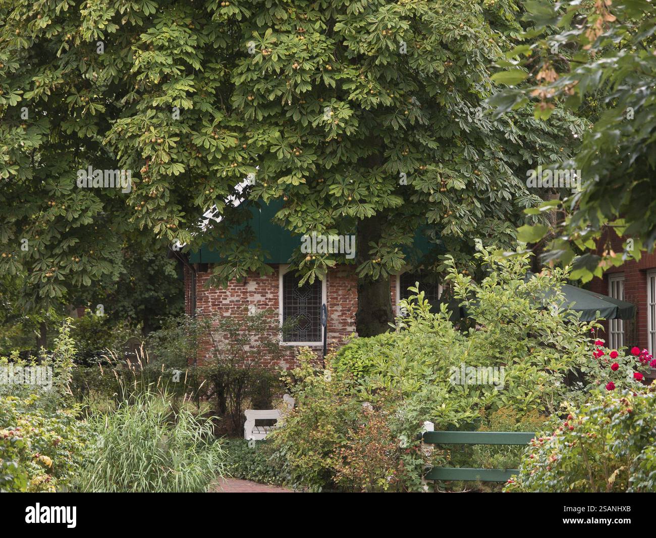 Lush garden with trees and a small house Stock Photo - Alamy