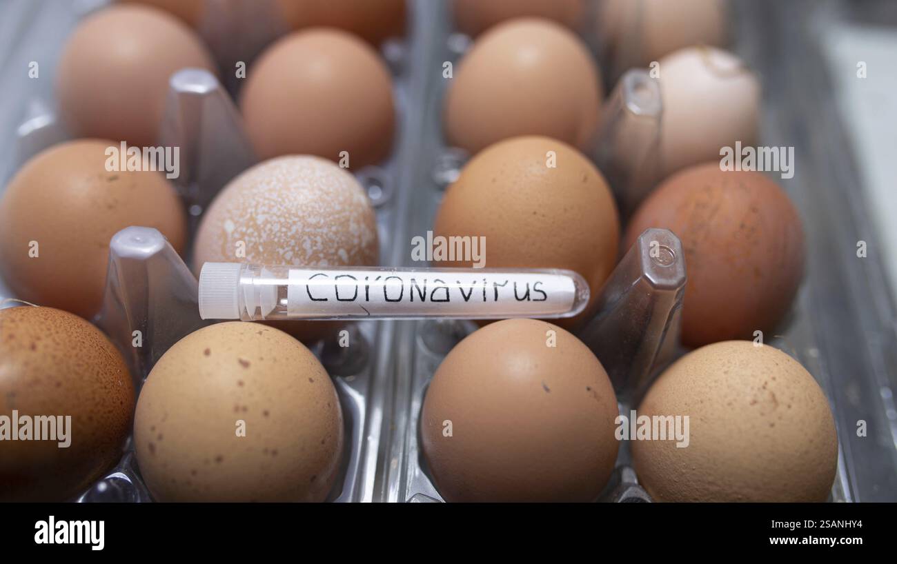 'Coronavirus' labeled test tube amidst eggs in a carton Stock Photo - Alamy