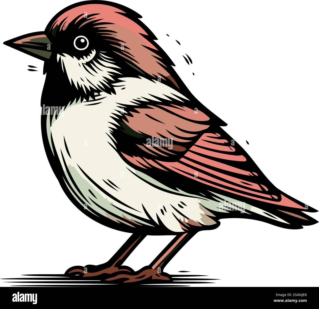 Sparrow isolated on white background. Hand drawn vector illustration ...
