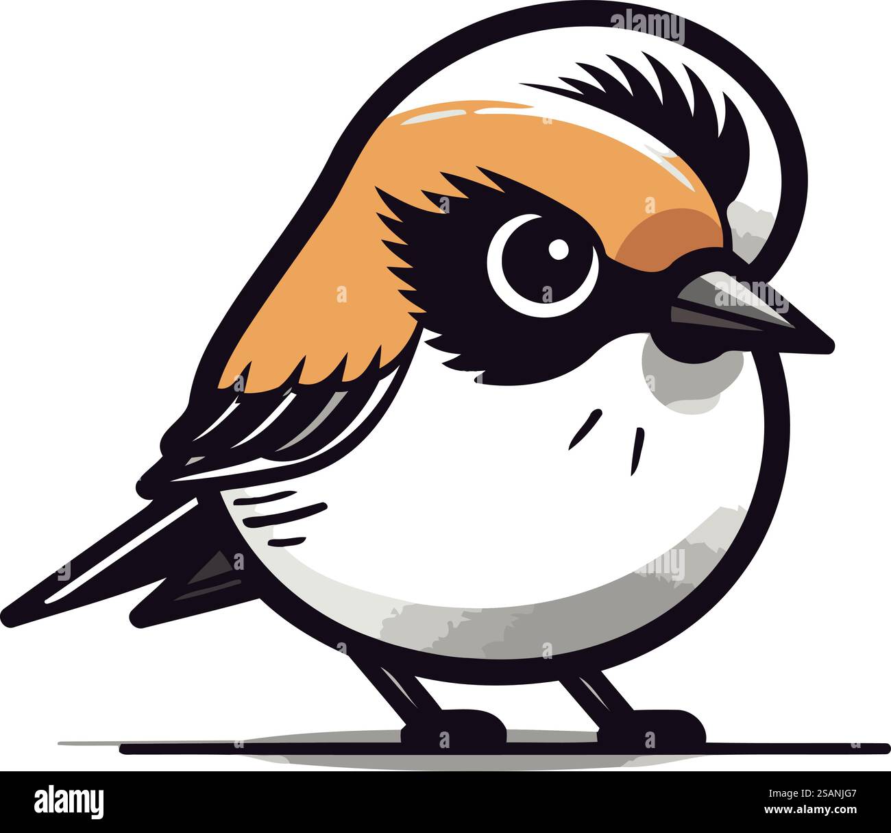 Chaffinch vector cartoon illustration isolated on white background ...