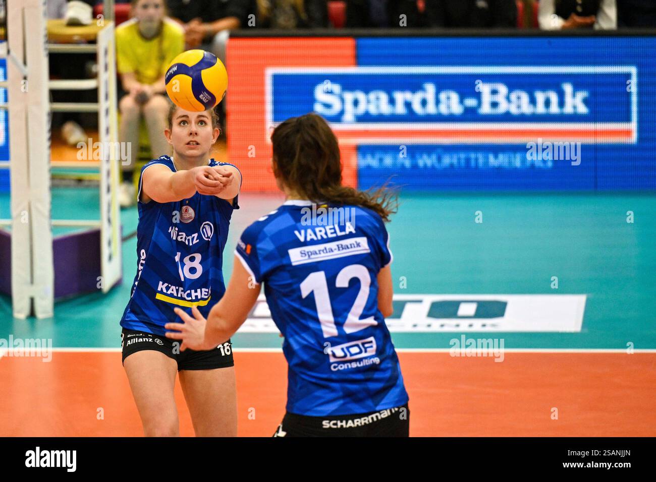 DVL, Volleyball, 1. Bundesliga, Damen, Saison 2024/25, Allianz MTV ...