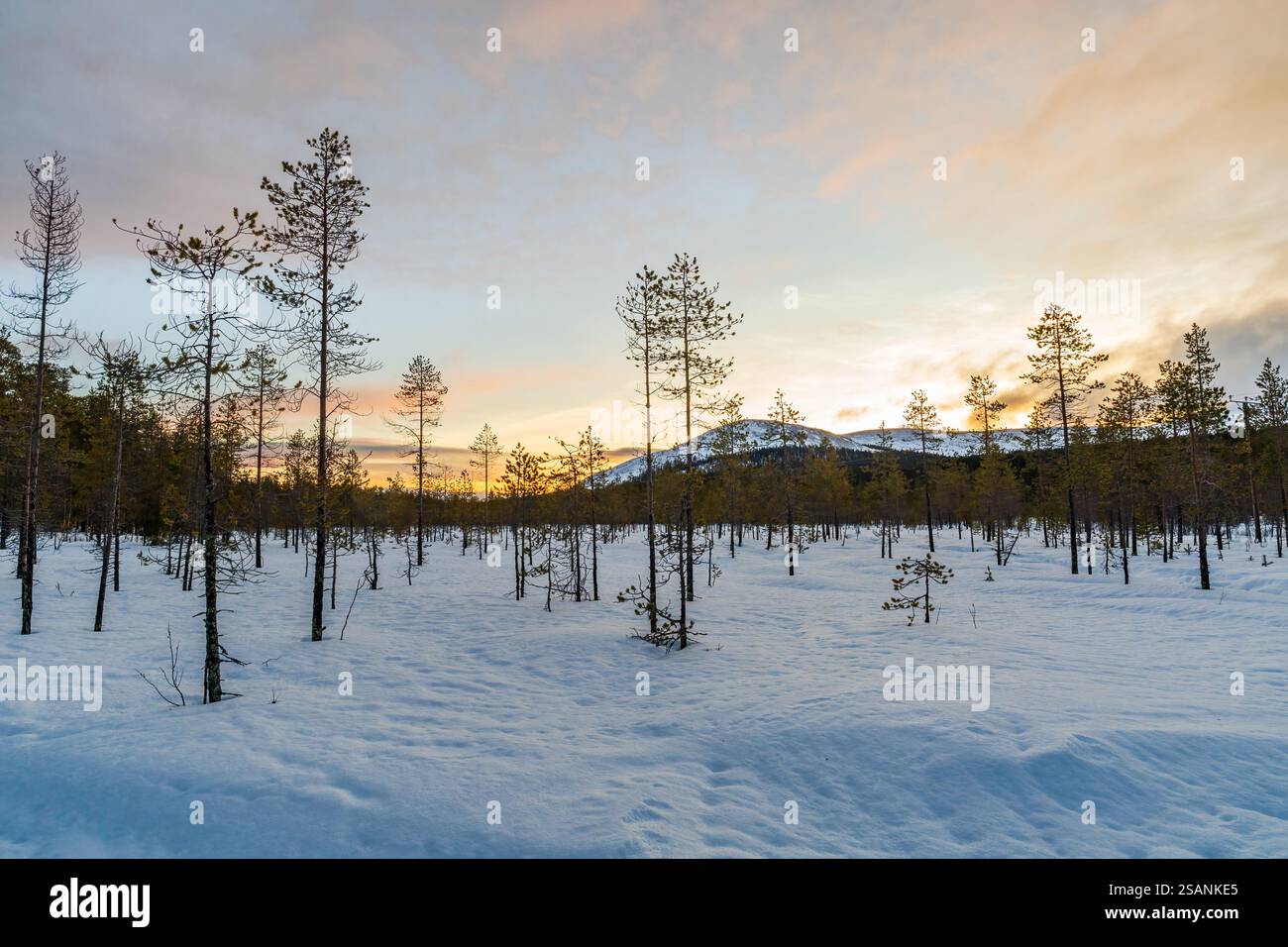 Beautiful winter landscape in Finnish Lapland around Akaslompolo ...