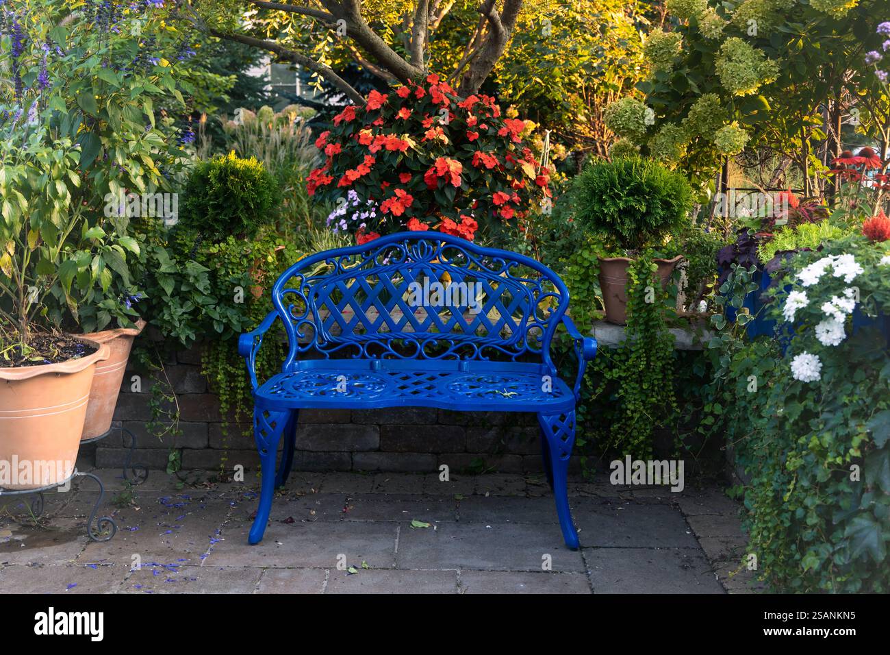 The cobalt blue garden bench stands freshly transformed, its surface ...