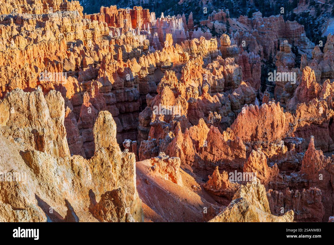 View over the Amphitheatre, Bryce Canyon National Park, Utah, USA Stock ...