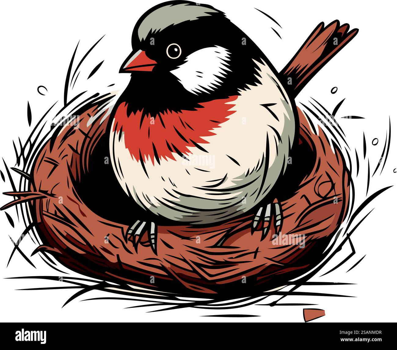 Chickadee in the nest. Hand drawn vector illustration Stock Vector ...