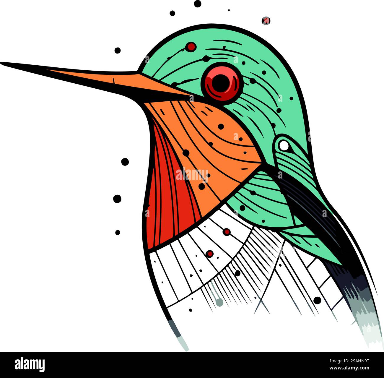 Vector hand drawn illustration of hummingbird. Isolated on white ...