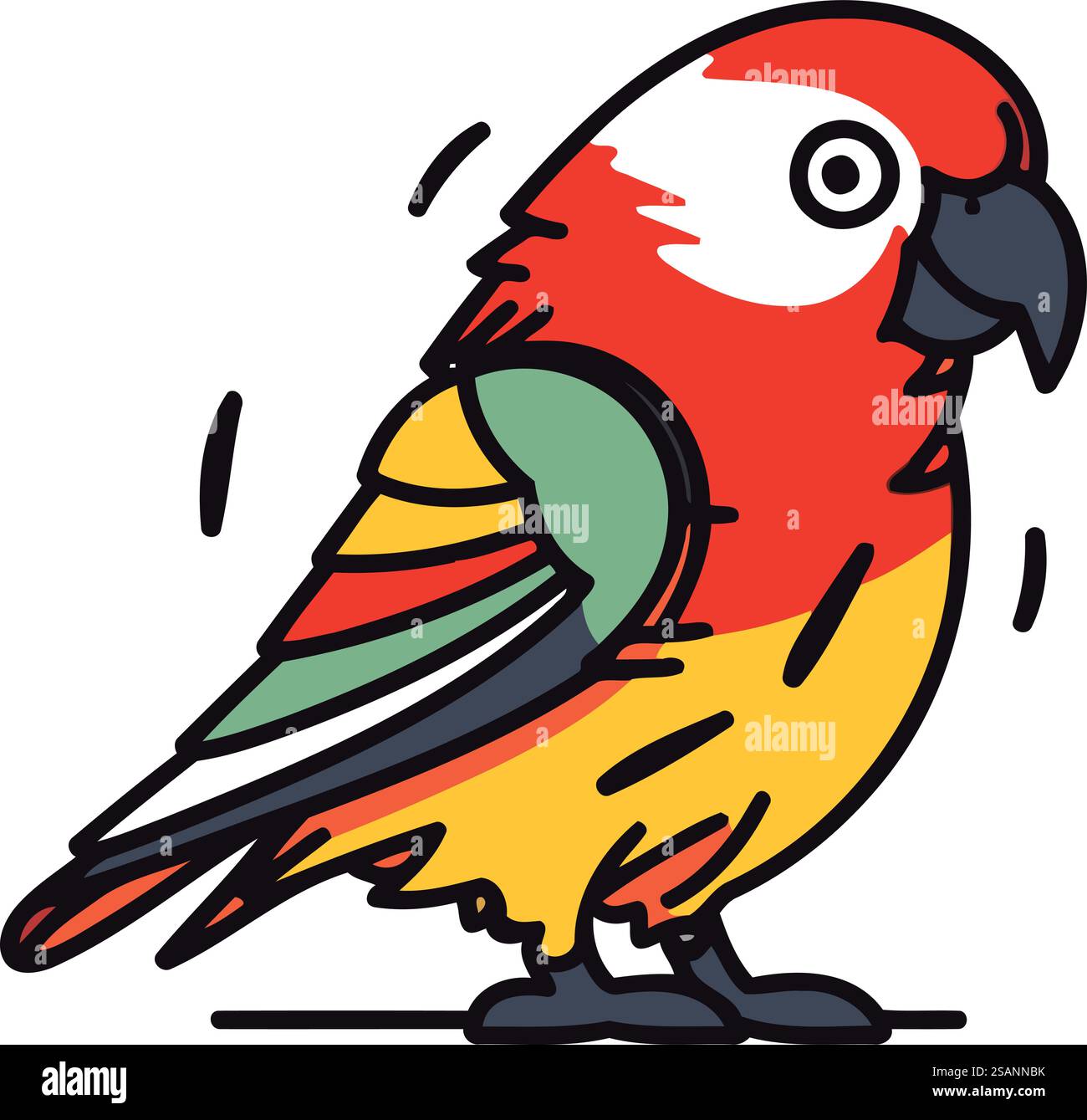 Colorful parrot vector illustration. Isolated parrot on white ...