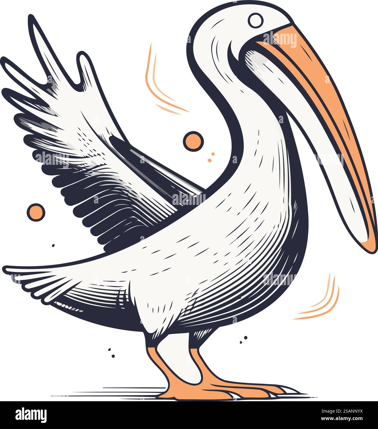 Pelican vector illustration. Hand drawn sketch of pelican Stock Vector ...