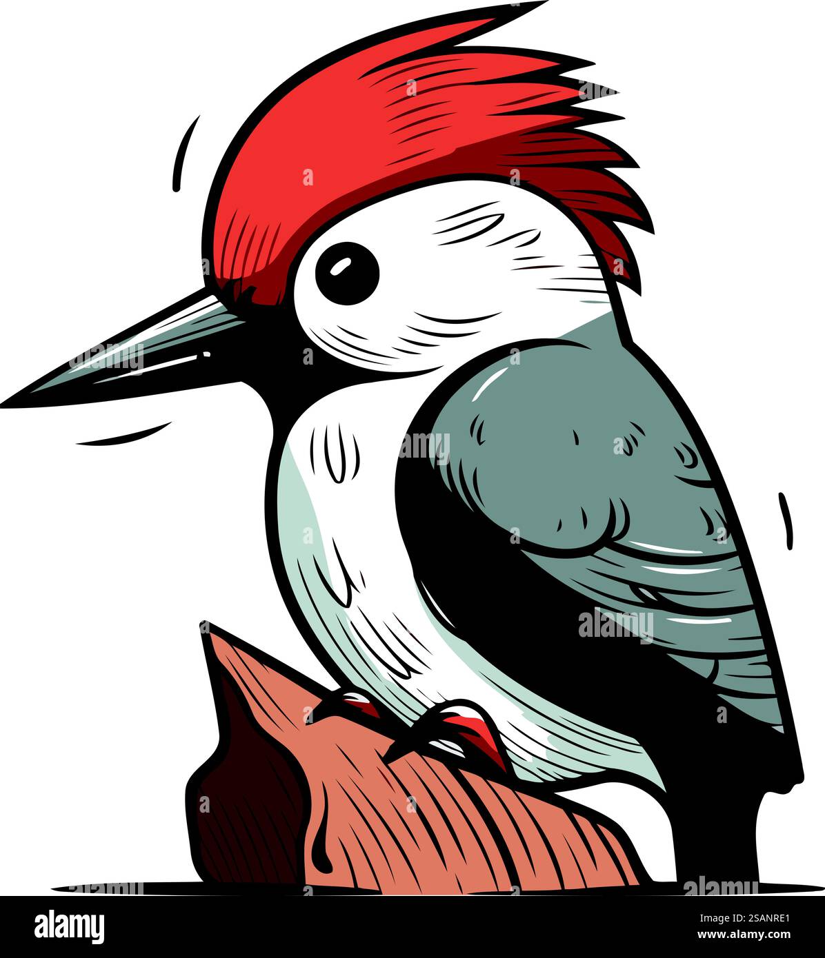Hand drawn vector illustration of a cute red backed woodpecker Stock ...
