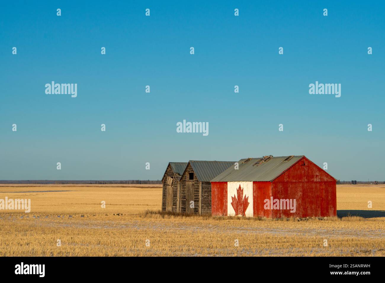 Canadian flag with the iconic red maple leaf painted on an old barn ...