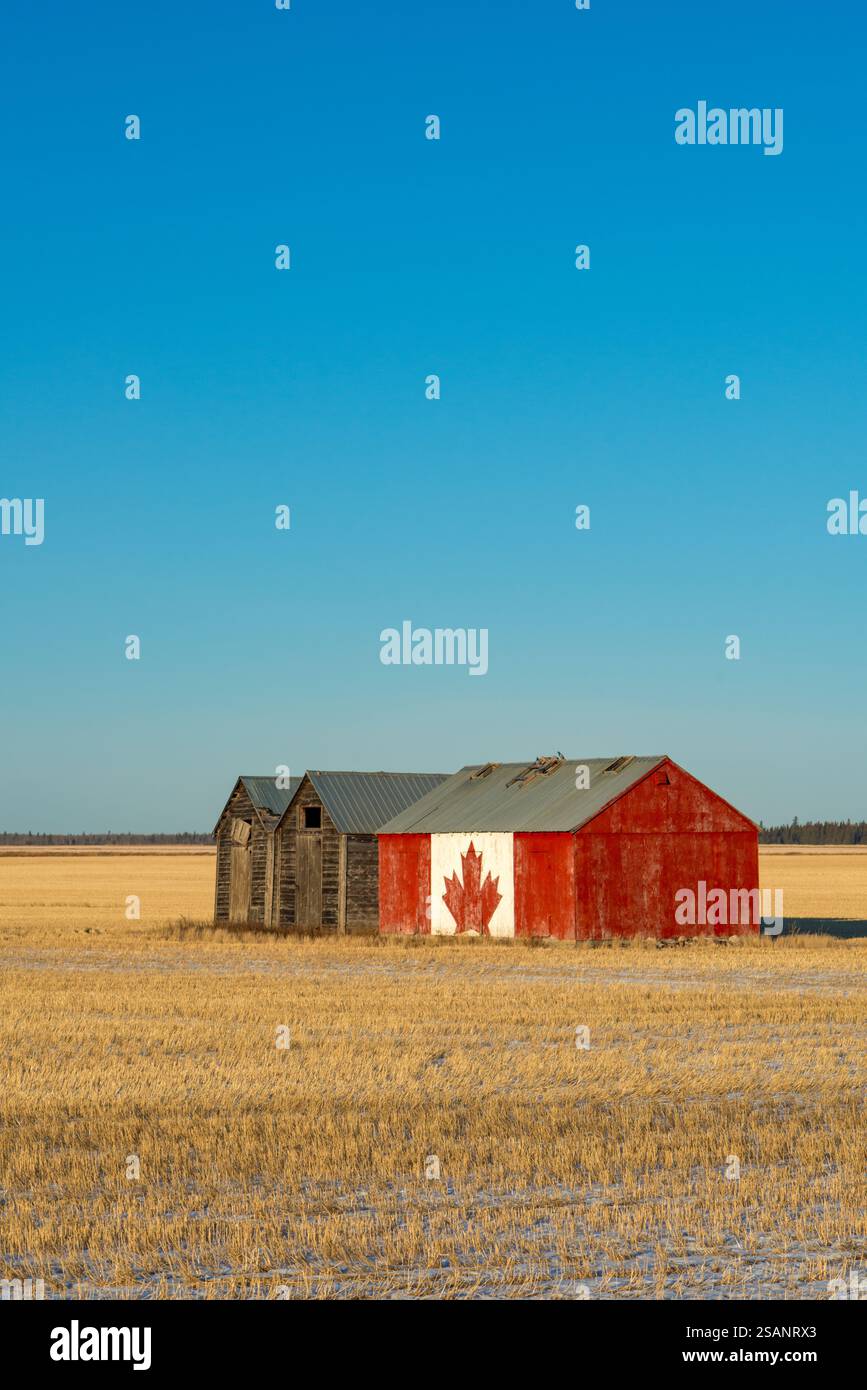 Canadian flag with the iconic red maple leaf painted on an old barn ...