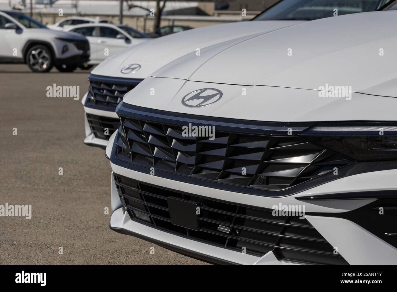 Lafayette - January 29, 2025: Hyundai Elantra Compact Car display at a ...