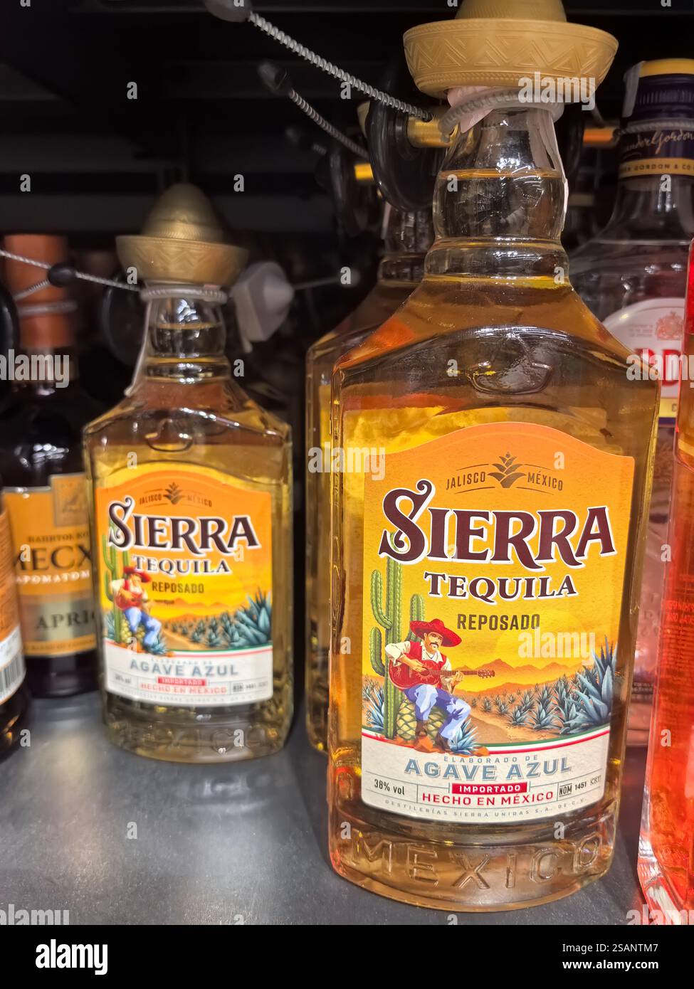 Bobruisk, Belarus - 26 January 2025: A vibrant display showcases ...