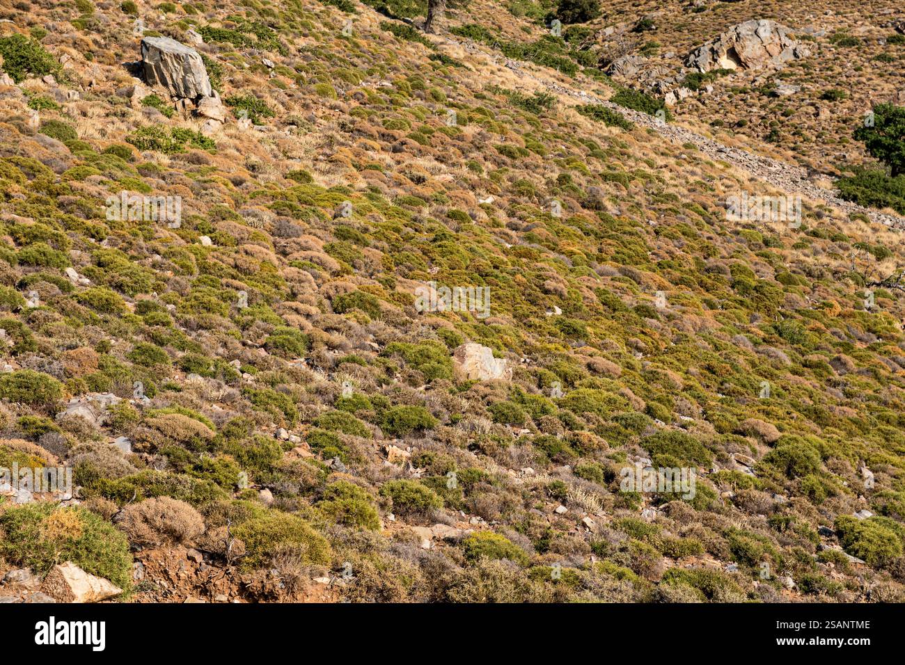 Mountainous landscape of the Greek island of Crete covered with ...