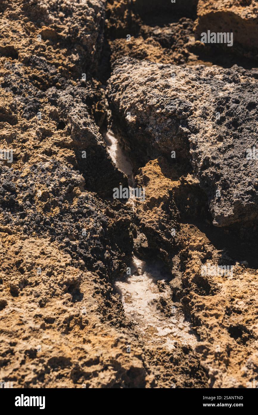 Detail of tafoni which are cavities that develop in granular rock with ...