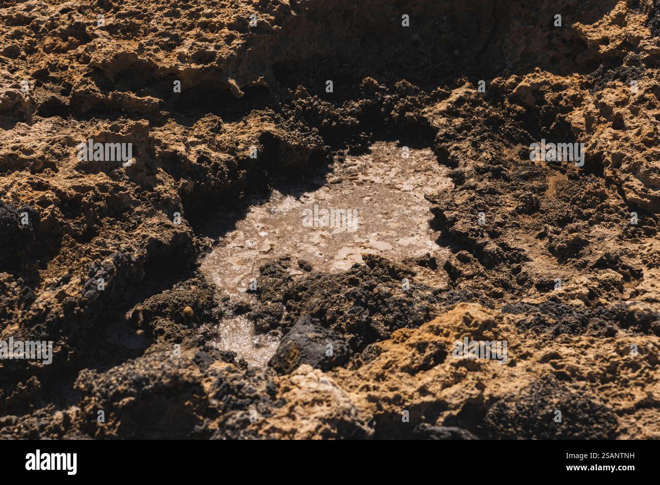 Detail of tafoni which are cavities that develop in granular rock with ...