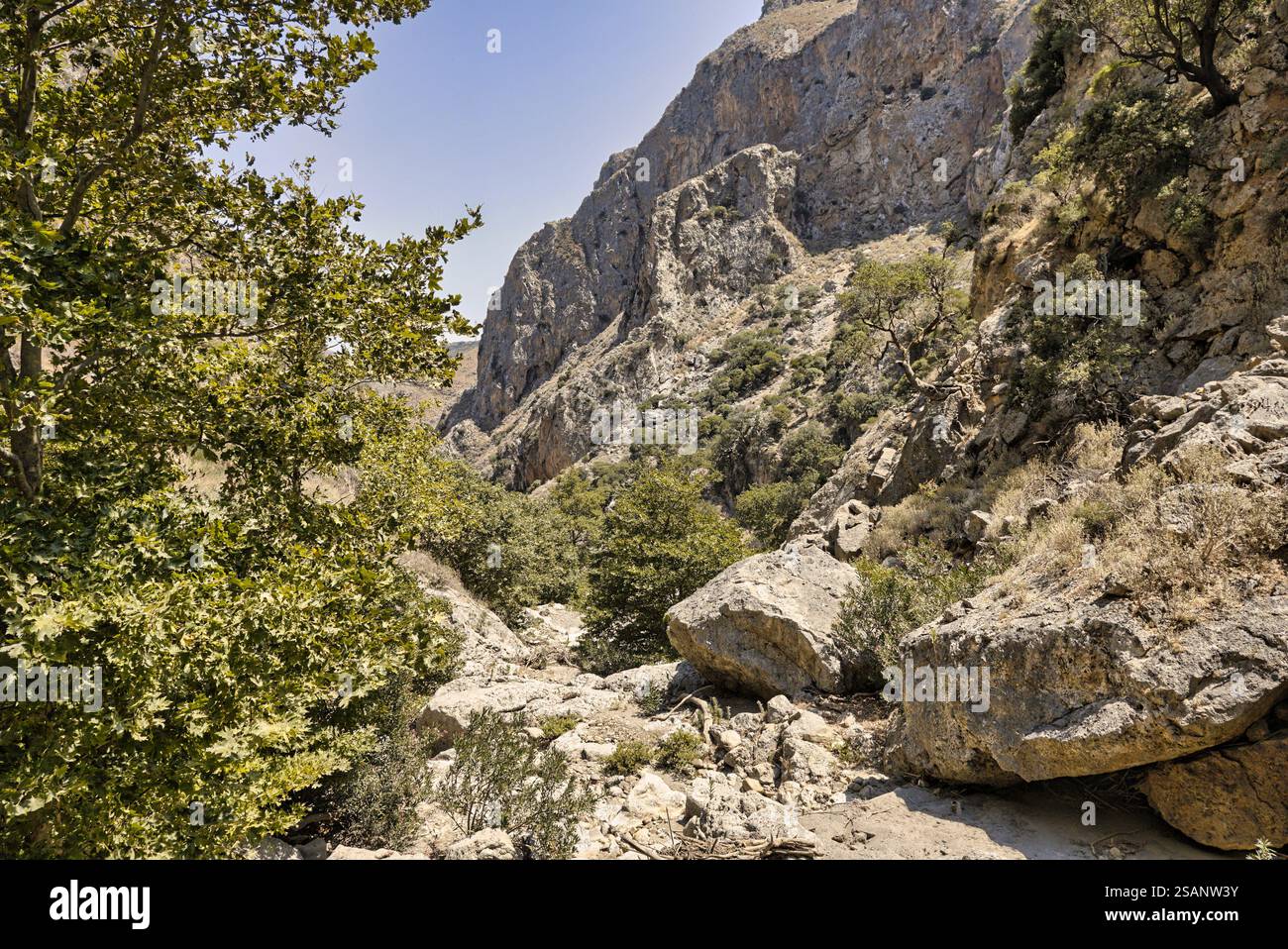 empty bed of a river that flows through a topolia gorge on the crete ...