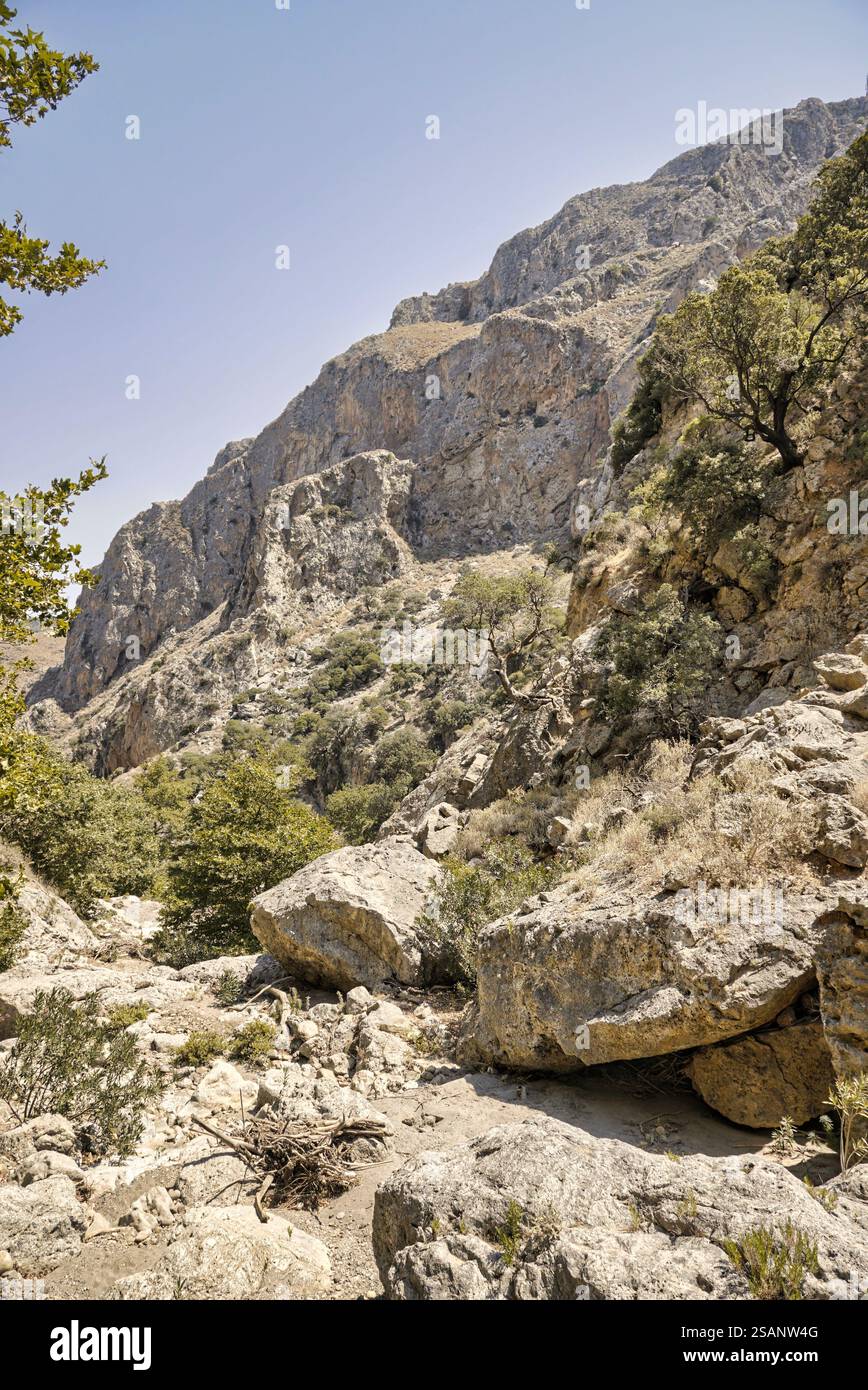 empty bed of a river that flows through a topolia gorge on the crete ...